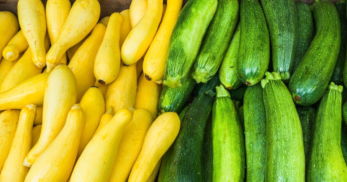 Summer Squash Breakfast Recipes - Cook Clean Repeat