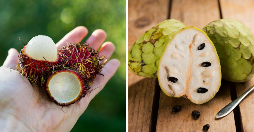 18 Strange Fruits From Around The World You Can’t Miss - Cook Clean Repeat