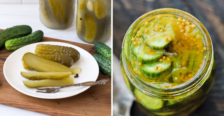 15 Varieties Of Pickles You Need To Know (And Taste) - Cook Clean Repeat