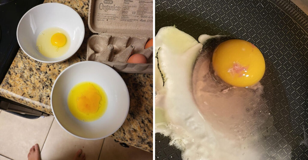 28 Indicators That Eggs Have Gone Bad - Cook Clean Repeat