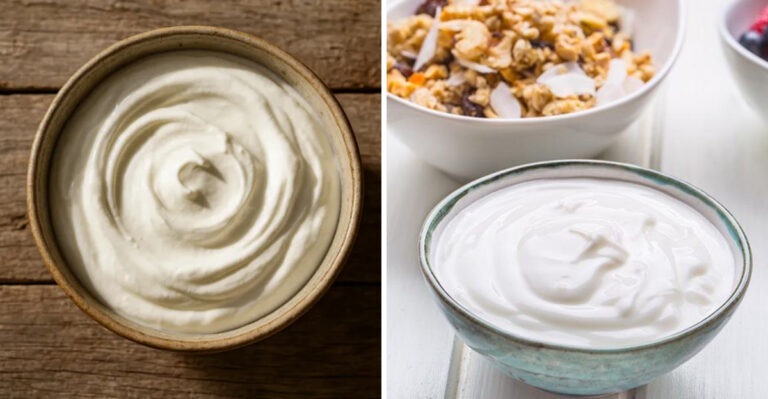 The 25 Healthiest Yogurt Labels, Endorsed By Nutrition Specialists ...