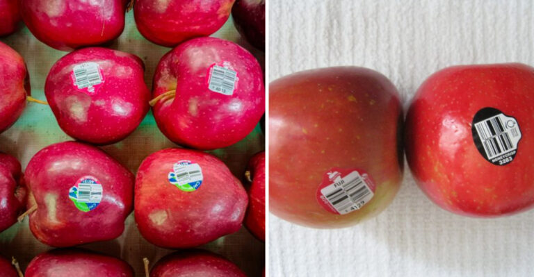 What Apple Stickers Reveal About Produce Labeling - Cook Clean Repeat